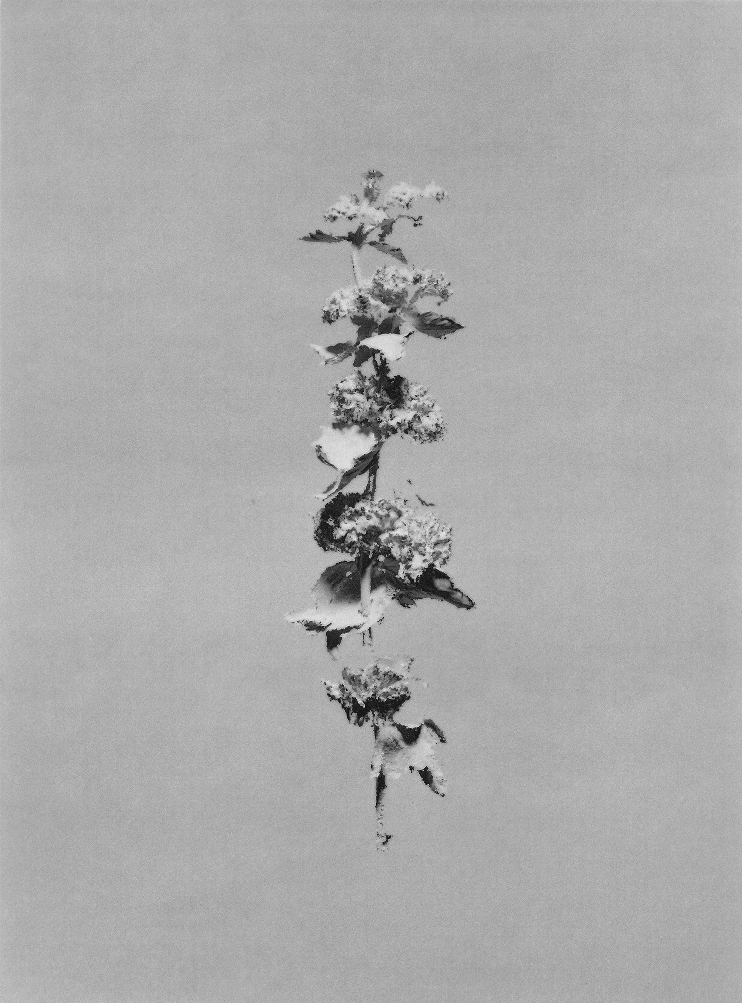 Tresor meets Klasse Wrecks | Tresor Berlin